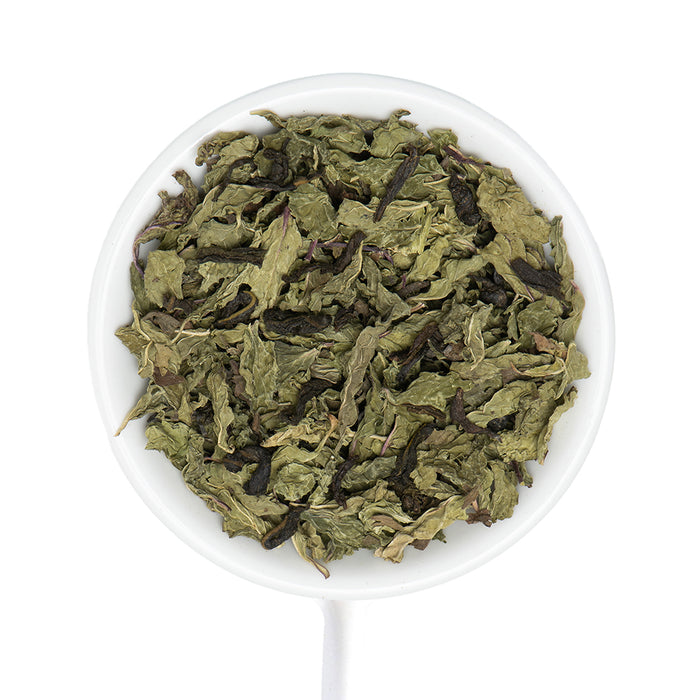 Mint Melody Green Tea Bags, 100 Count | Refreshing Green Tea | VAHDAM®